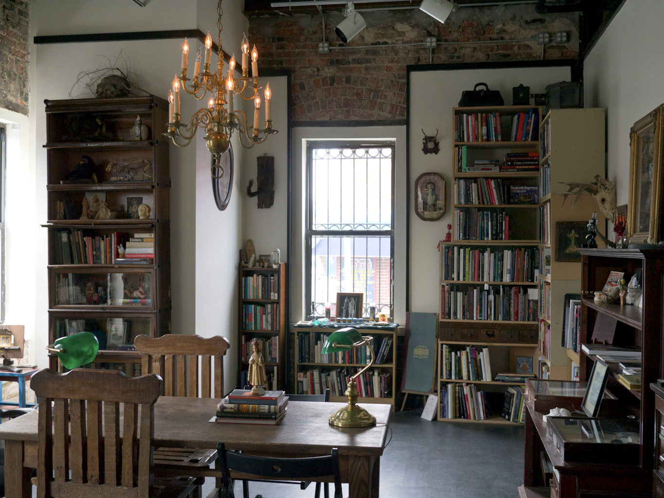 Morbid Anatomy Museum