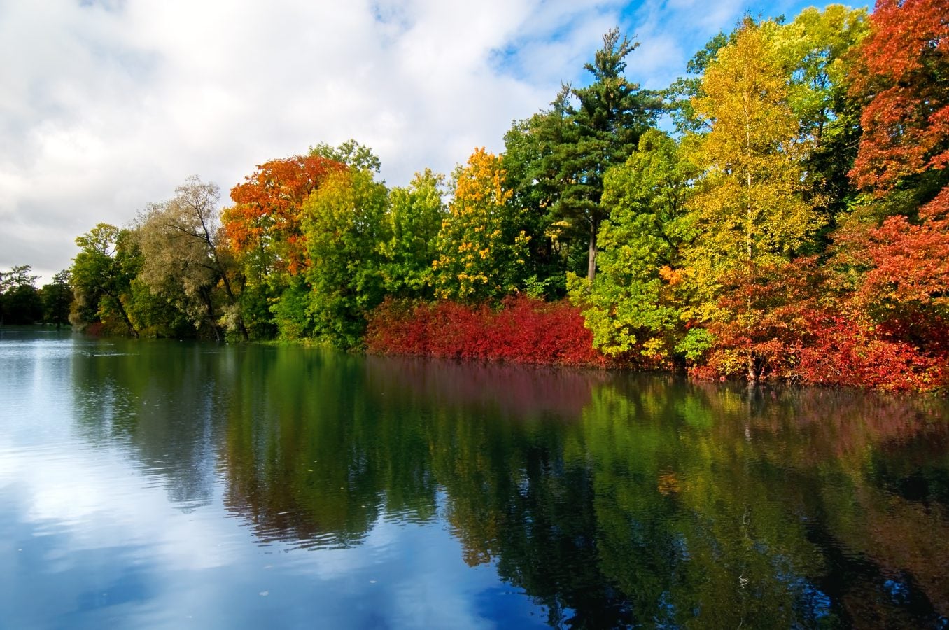 Fall Foliage Cruises | Seastreak Ferries