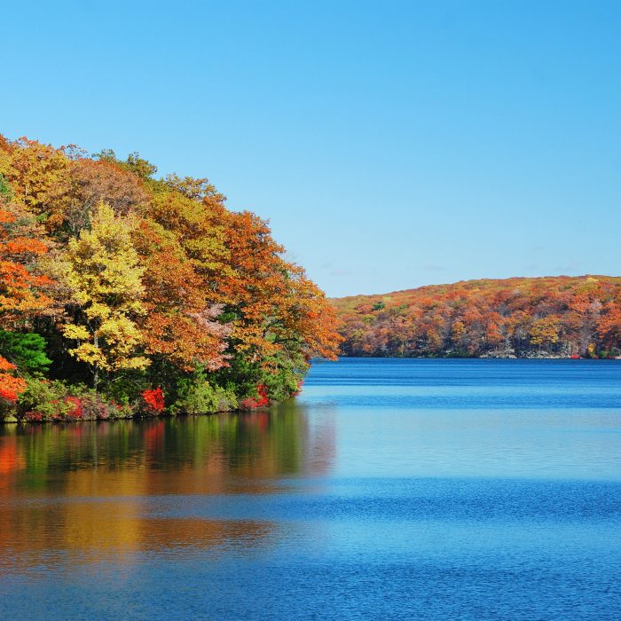 Fall Foliage Cruises | Seastreak Ferries