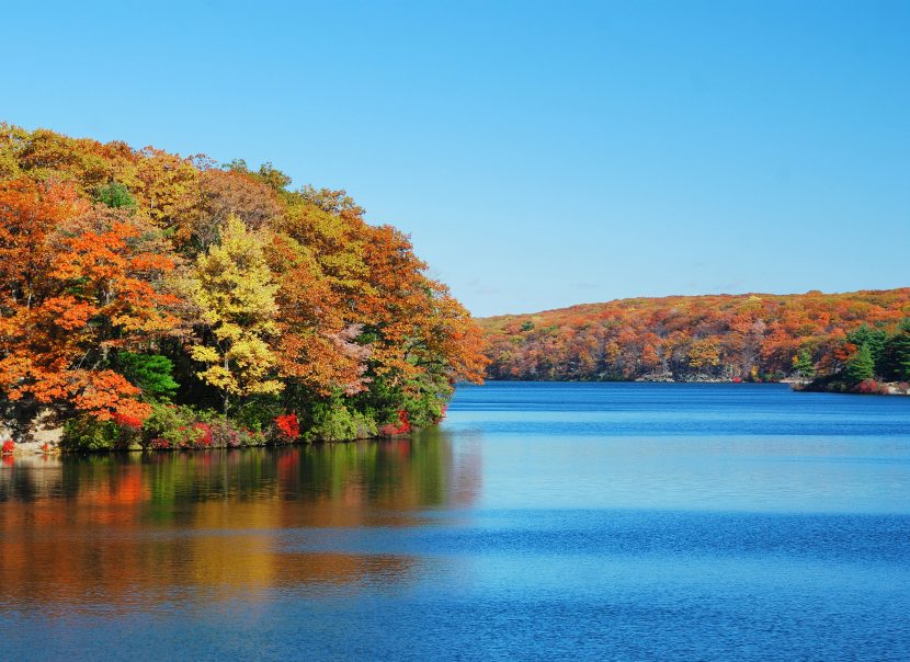 Fall Foliage Cruises | Seastreak Ferries